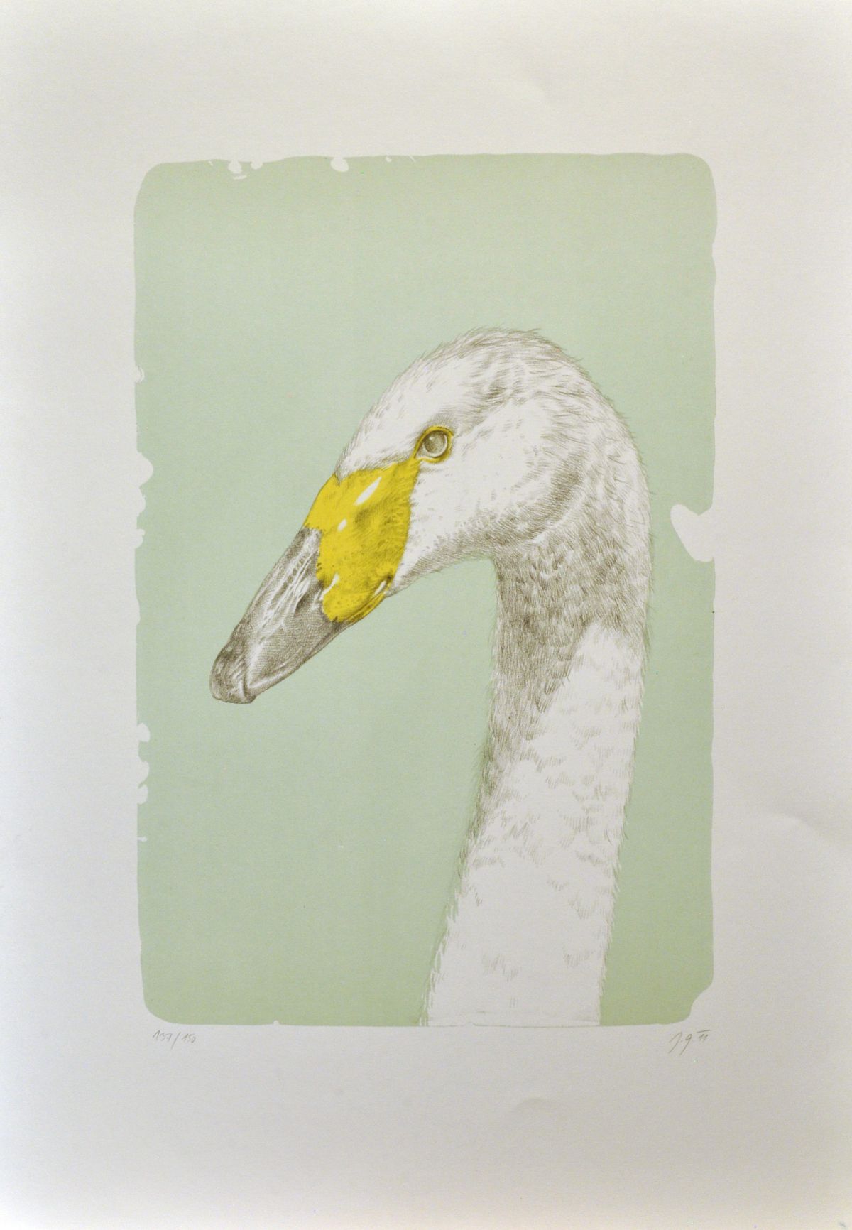 Jan Gemrot - Labuť | Litografie | OriginalArte
