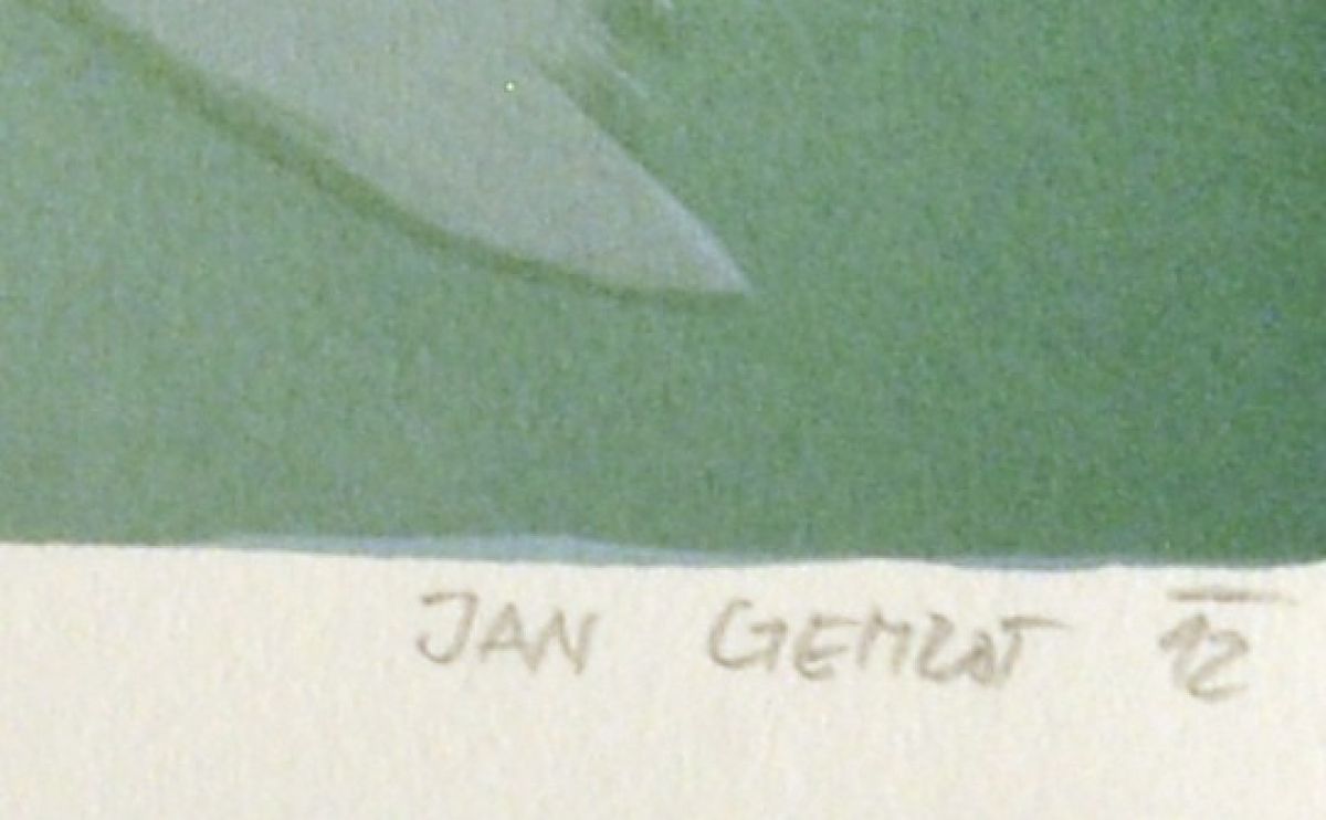Jan Gemrot - V letu | Litografie | OriginalArte